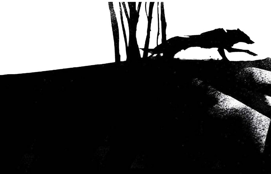 Chaperon Rouge – Daily Passions