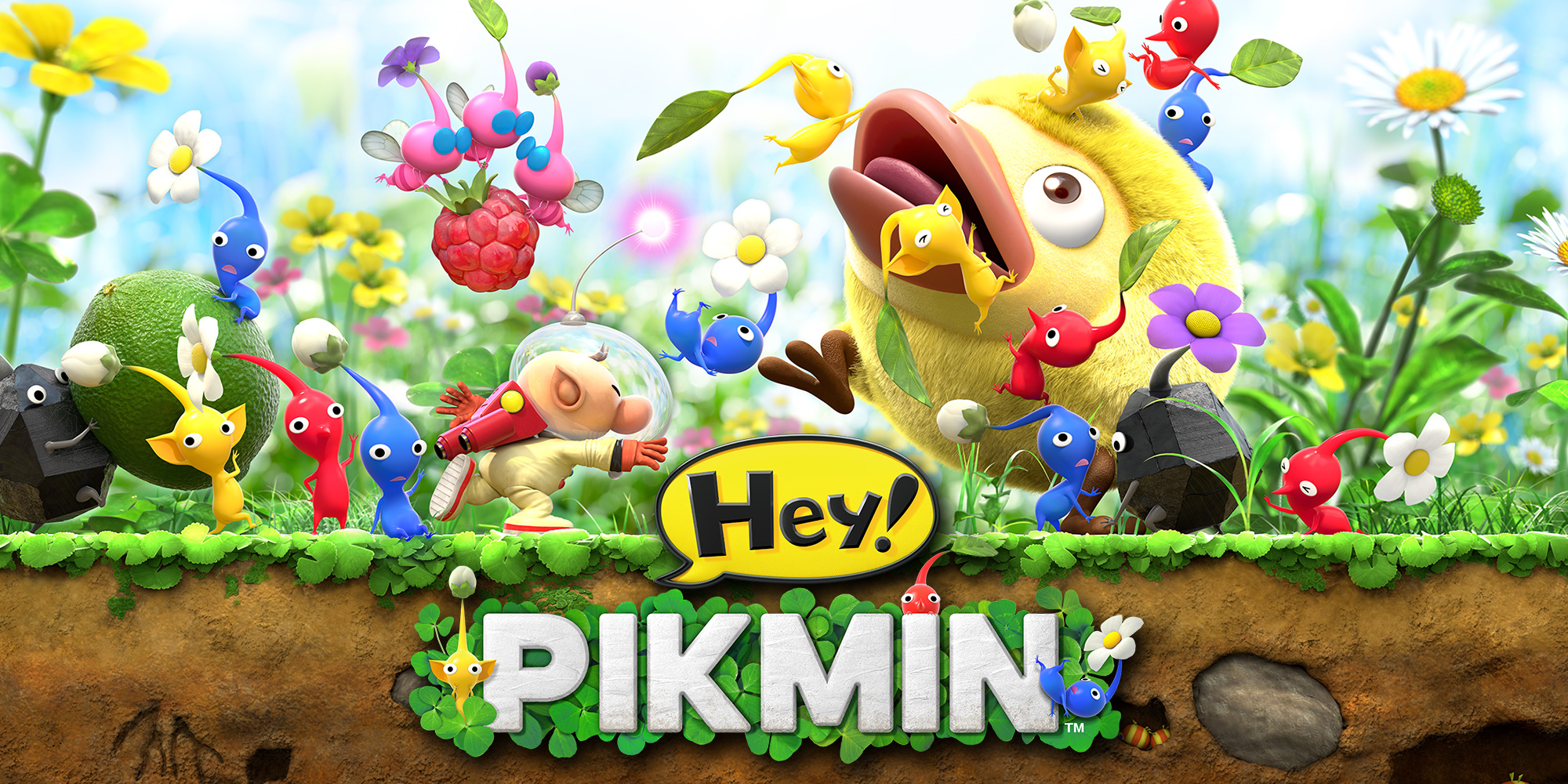 Hey! Pikmin – Daily Passions