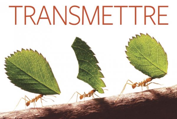 Transmettre – Daily Passions