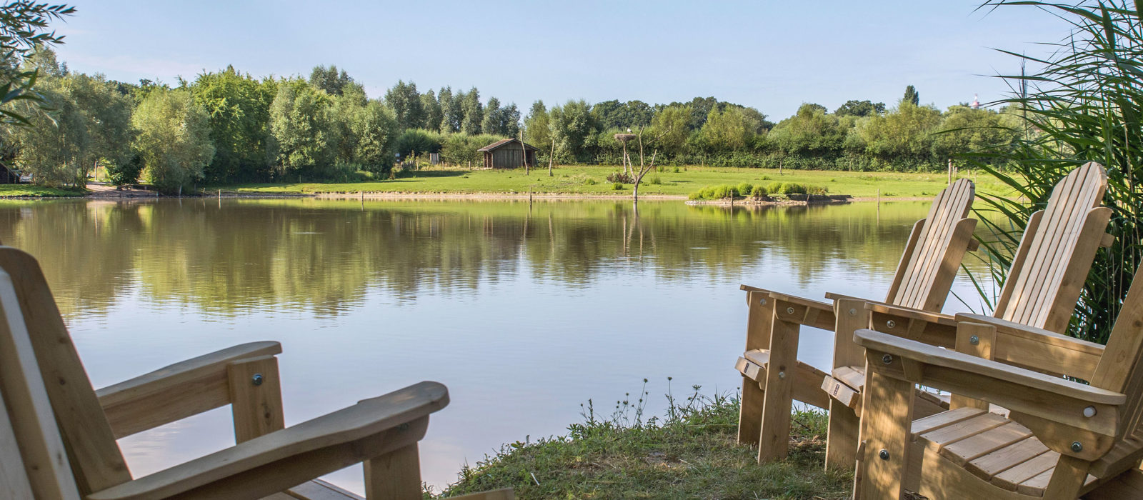 Le Parc Animalier de Sainte-Croix : une ode à la nature ! – Daily Passions