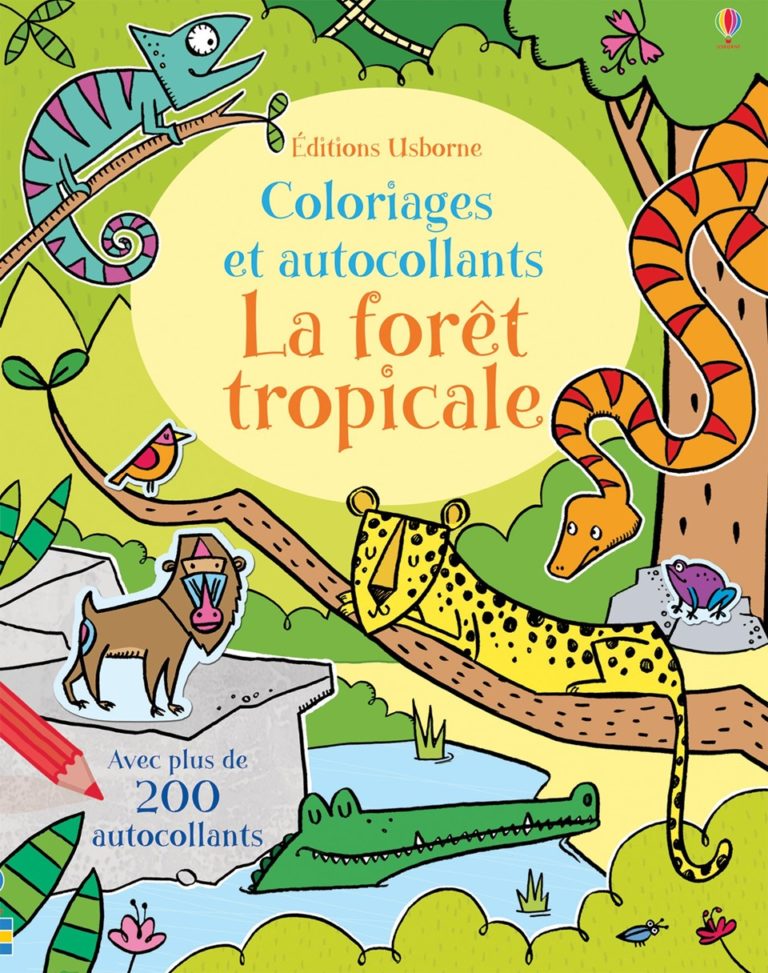 La forêt tropicale – Daily Passions