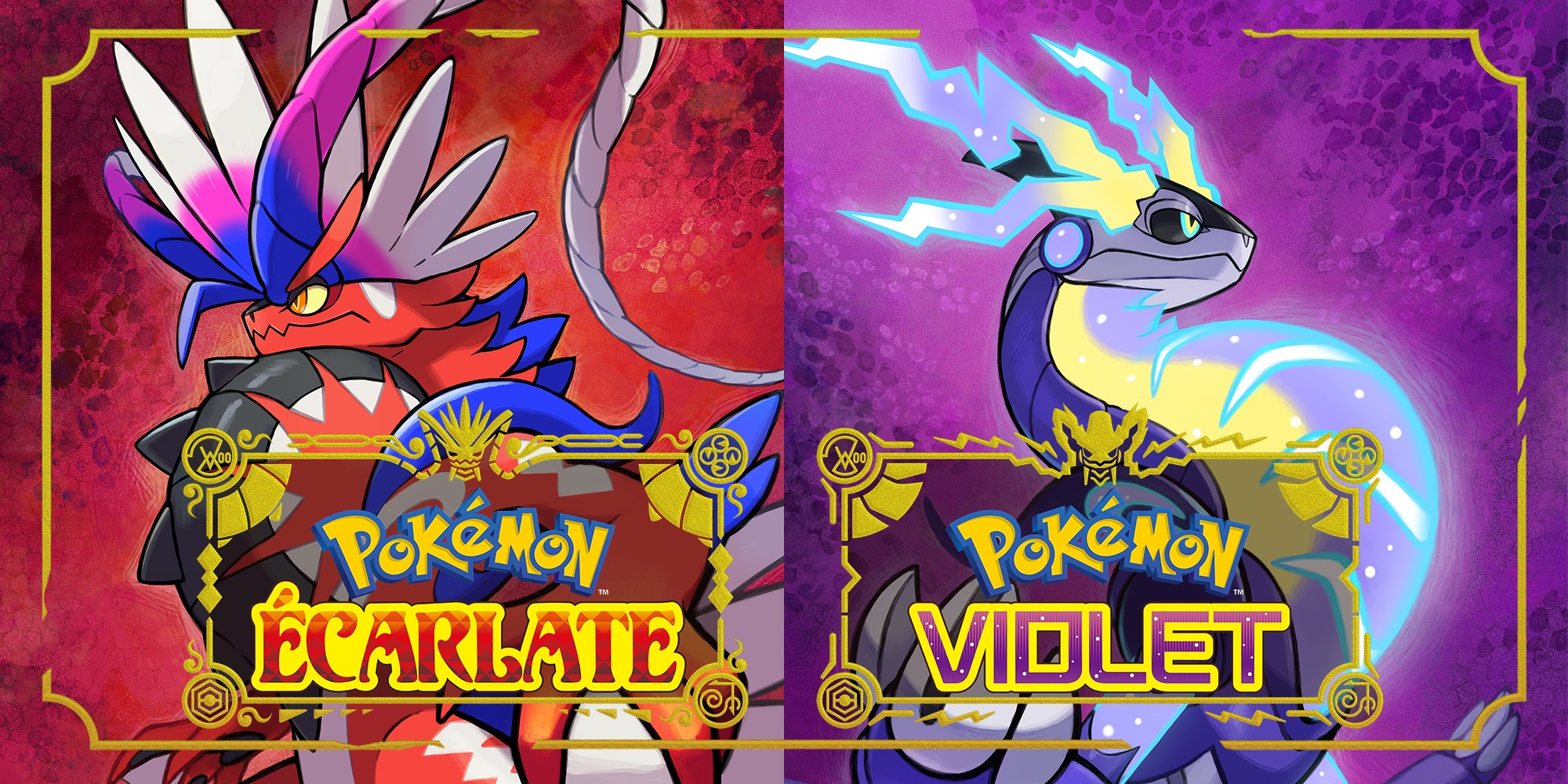 Pokémon Ecarlate/Violet – Daily Passions
